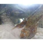 The Ultimate Guide to Hatching Axolotl Eggs! (2023)